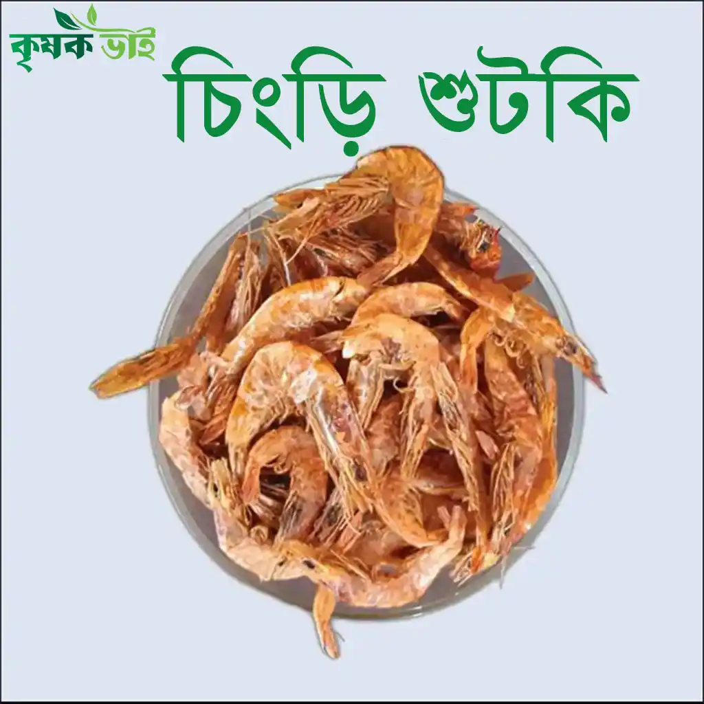 Chingri Shutki (চিংড়ি শুঁটকি) - Krishok Bhai