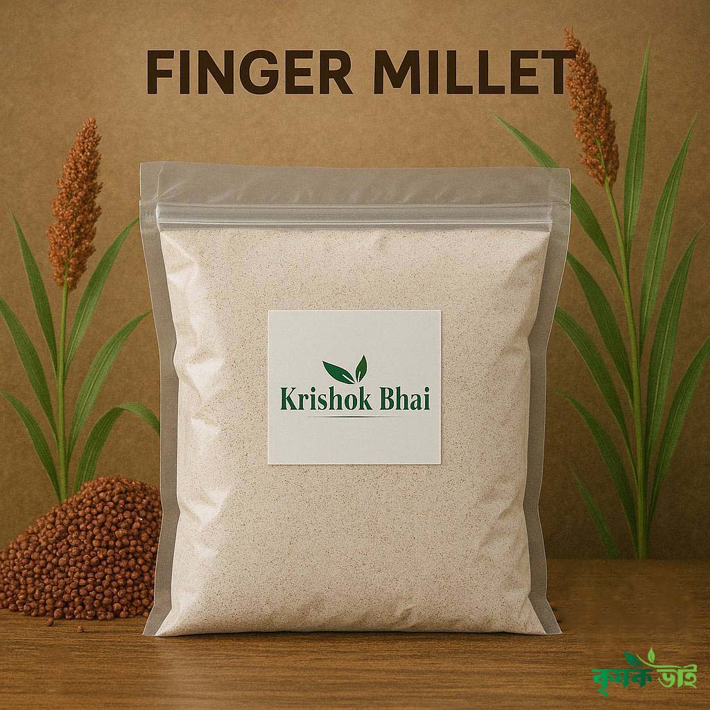 Ragi flour (রাগি আটা) - Krishok Bhai